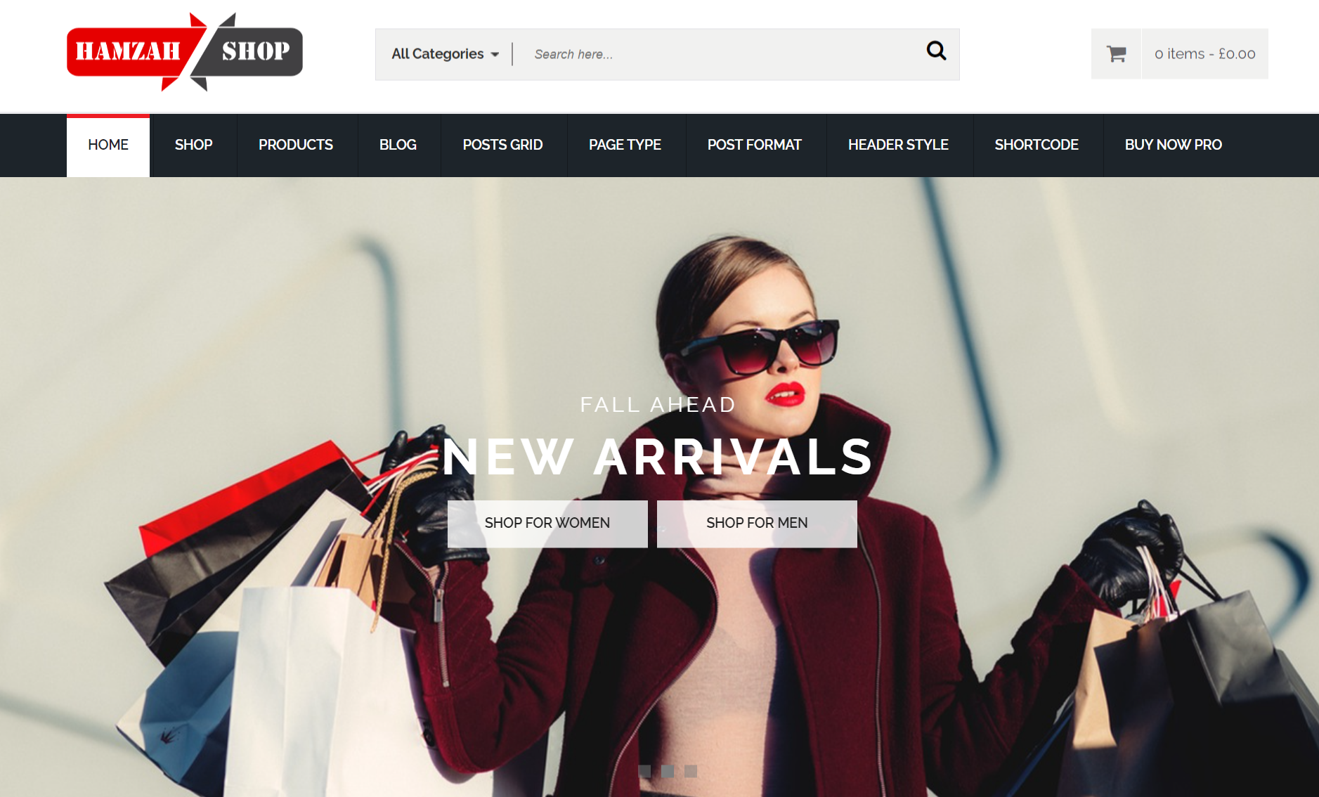 10+ Best Free Retail Shop WordPress Themes – 8DegreeThemes